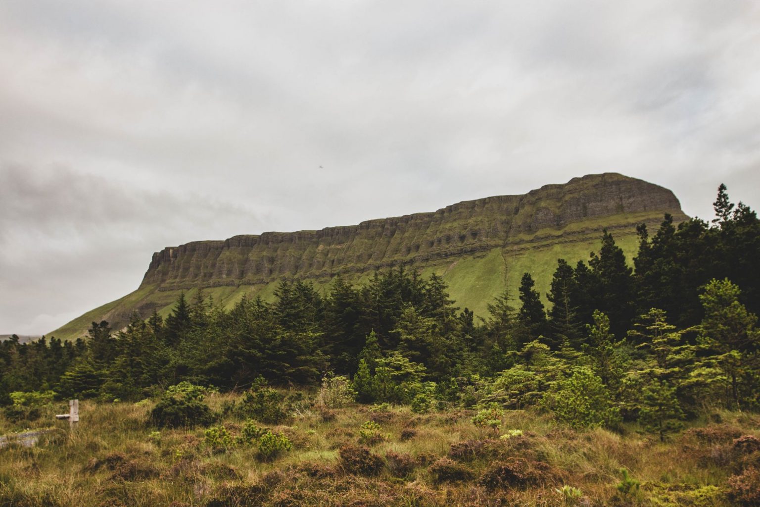 Benbulben Forest Walk : balade au cœur de l'Irlande - Vio Vadrouille