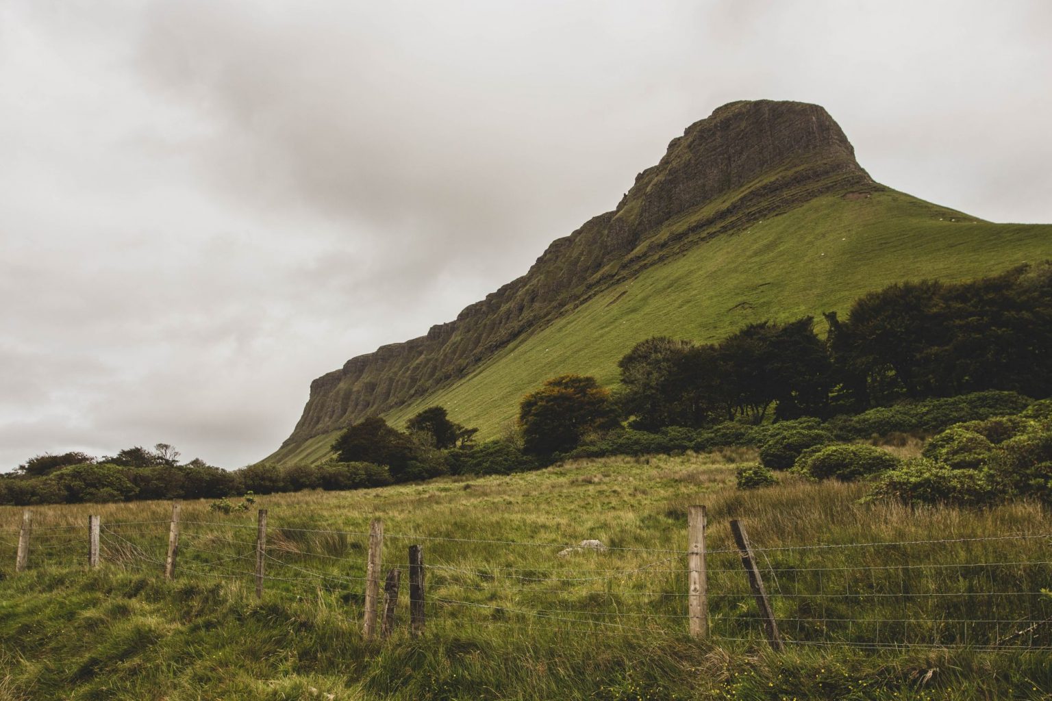 Benbulben Forest Walk : balade au cœur de l'Irlande - Vio Vadrouille