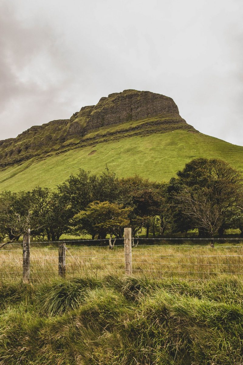 Benbulben Forest Walk : balade au cœur de l'Irlande - Vio Vadrouille