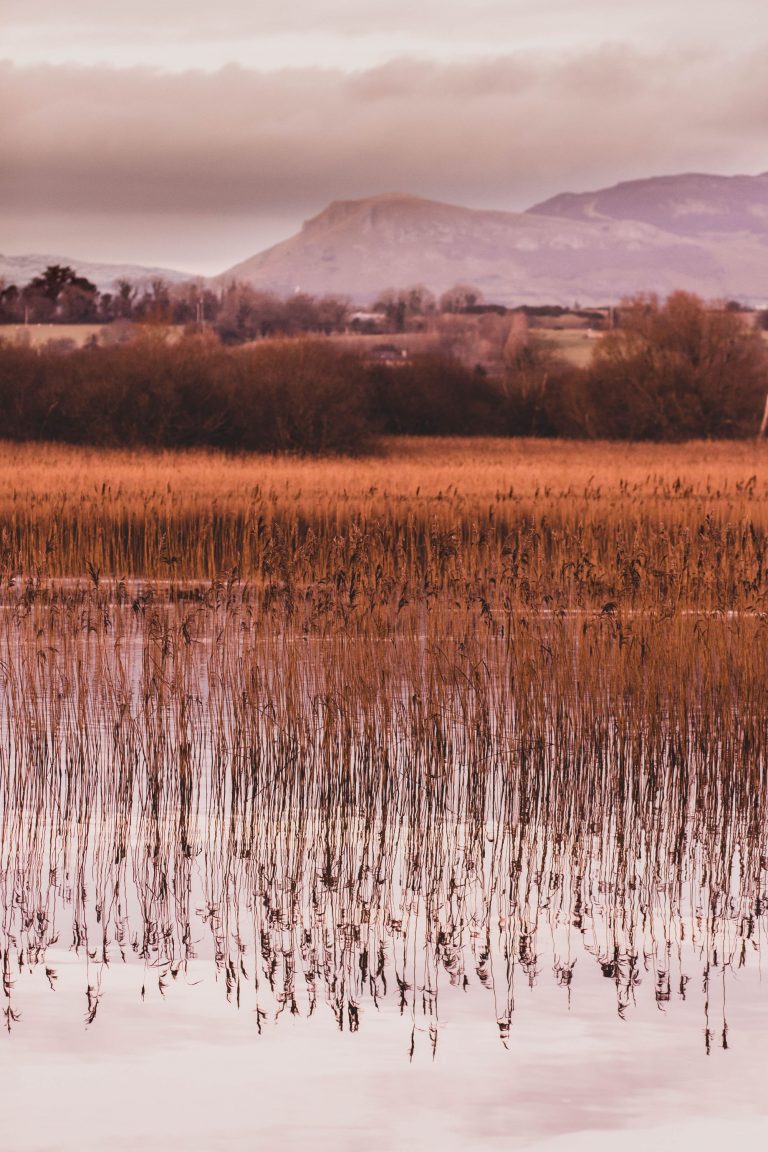 Visiter l’Irlande en automne : 6 bonnes raisons ! - Vio Vadrouille