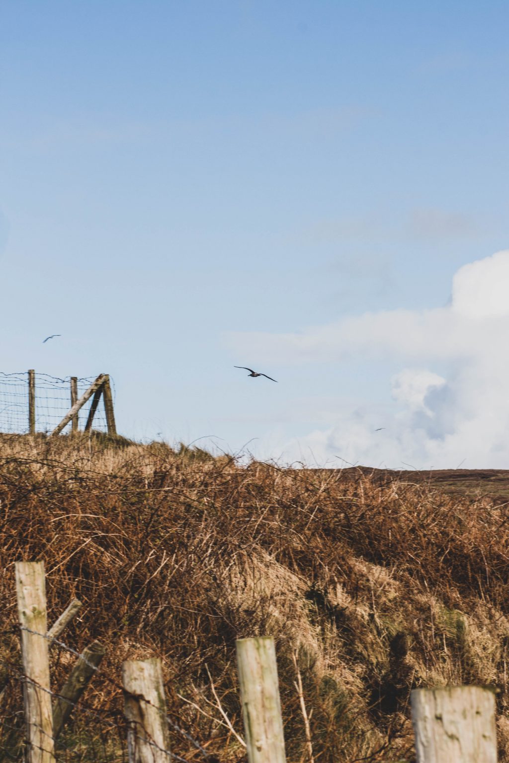 Erris Head Loop Walk : randonnée dans le Mayo - Vio Vadrouille