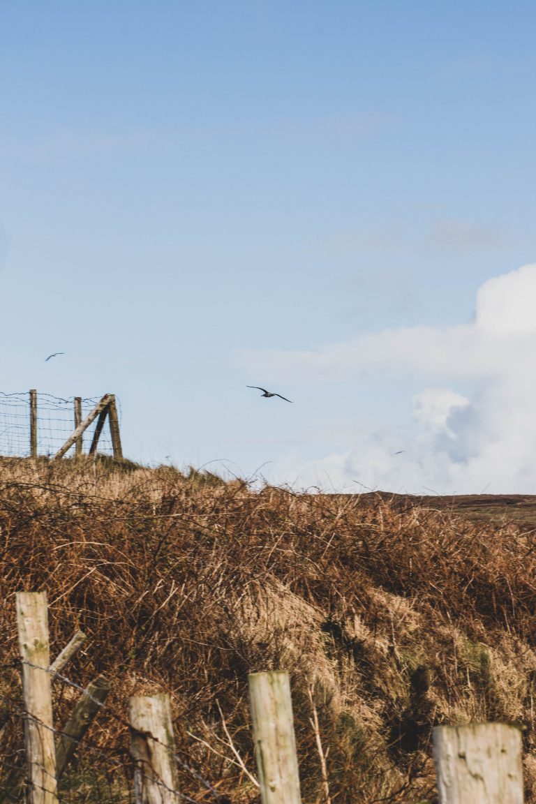 Erris Head Loop Walk : randonnée dans le Mayo - Vio Vadrouille
