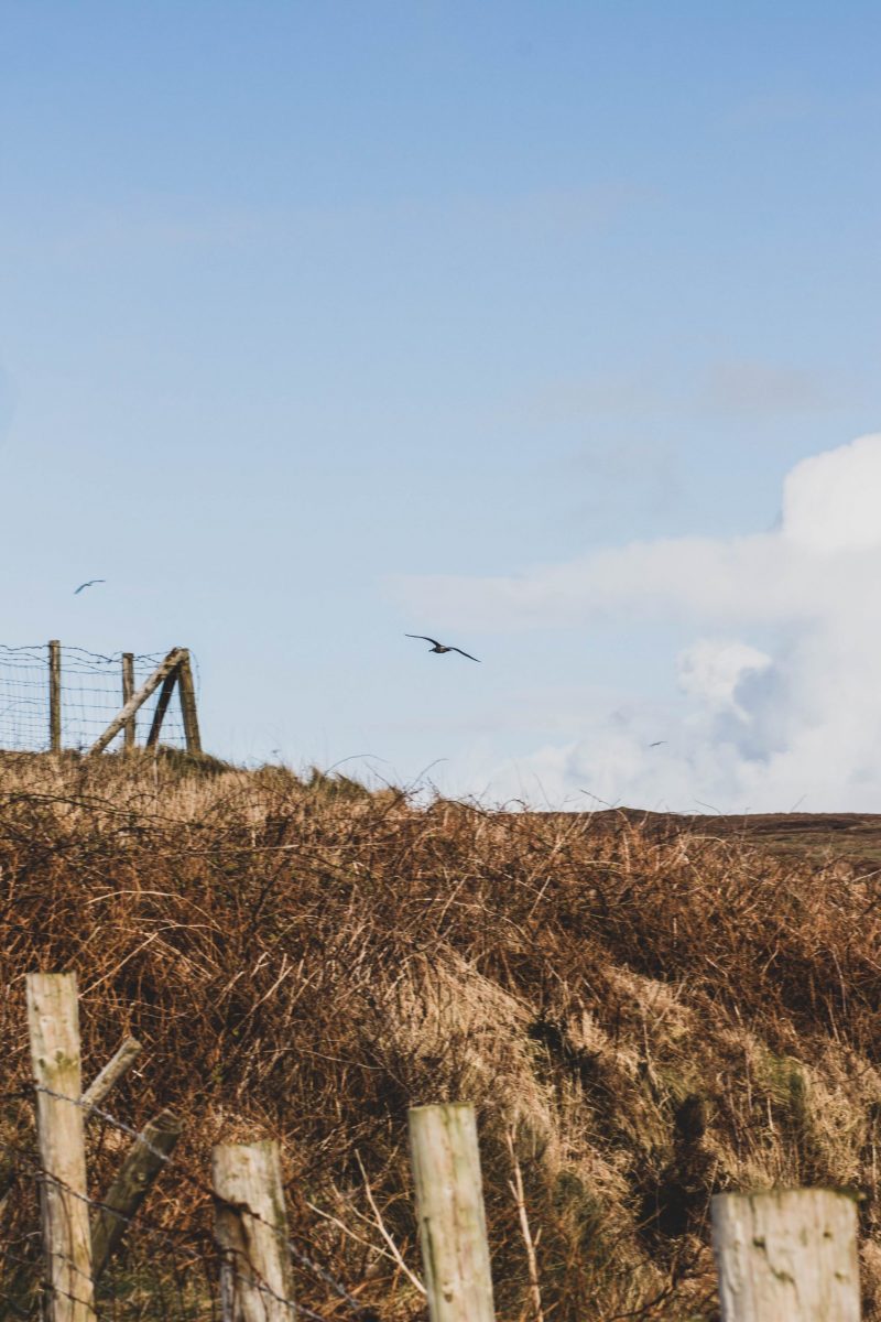 Erris Head Loop Walk : randonnée dans le Mayo - Vio Vadrouille