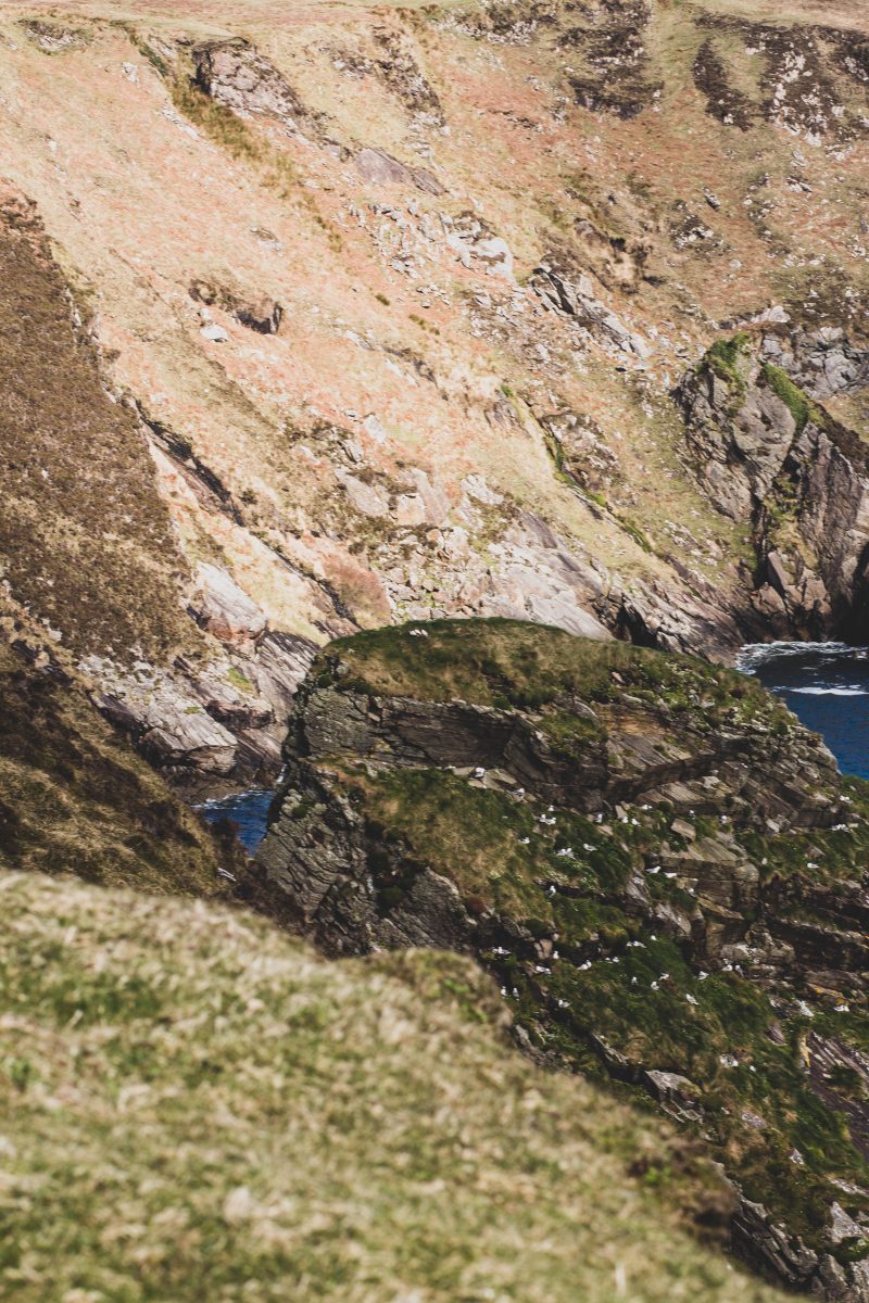 Erris Head Loop Walk : randonnée dans le Mayo - Vio Vadrouille