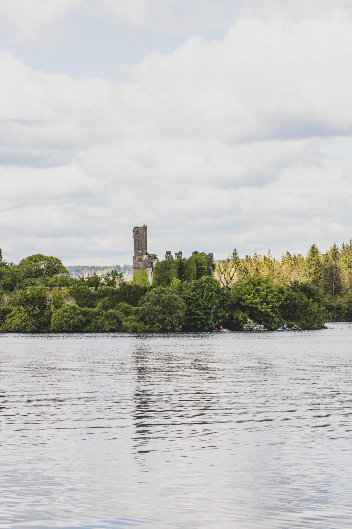 Roscommon : découvrir le Lough Key Forest Park - Vio Vadrouille
