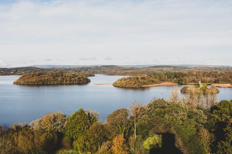 Roscommon : découvrir le Lough Key Forest Park - Vio Vadrouille