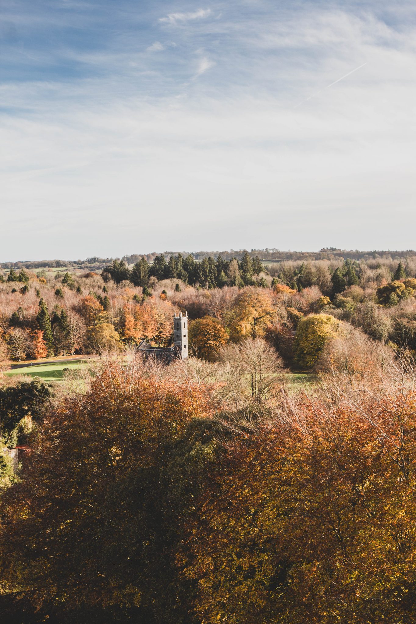 Roscommon : découvrir le Lough Key Forest Park - Vio Vadrouille