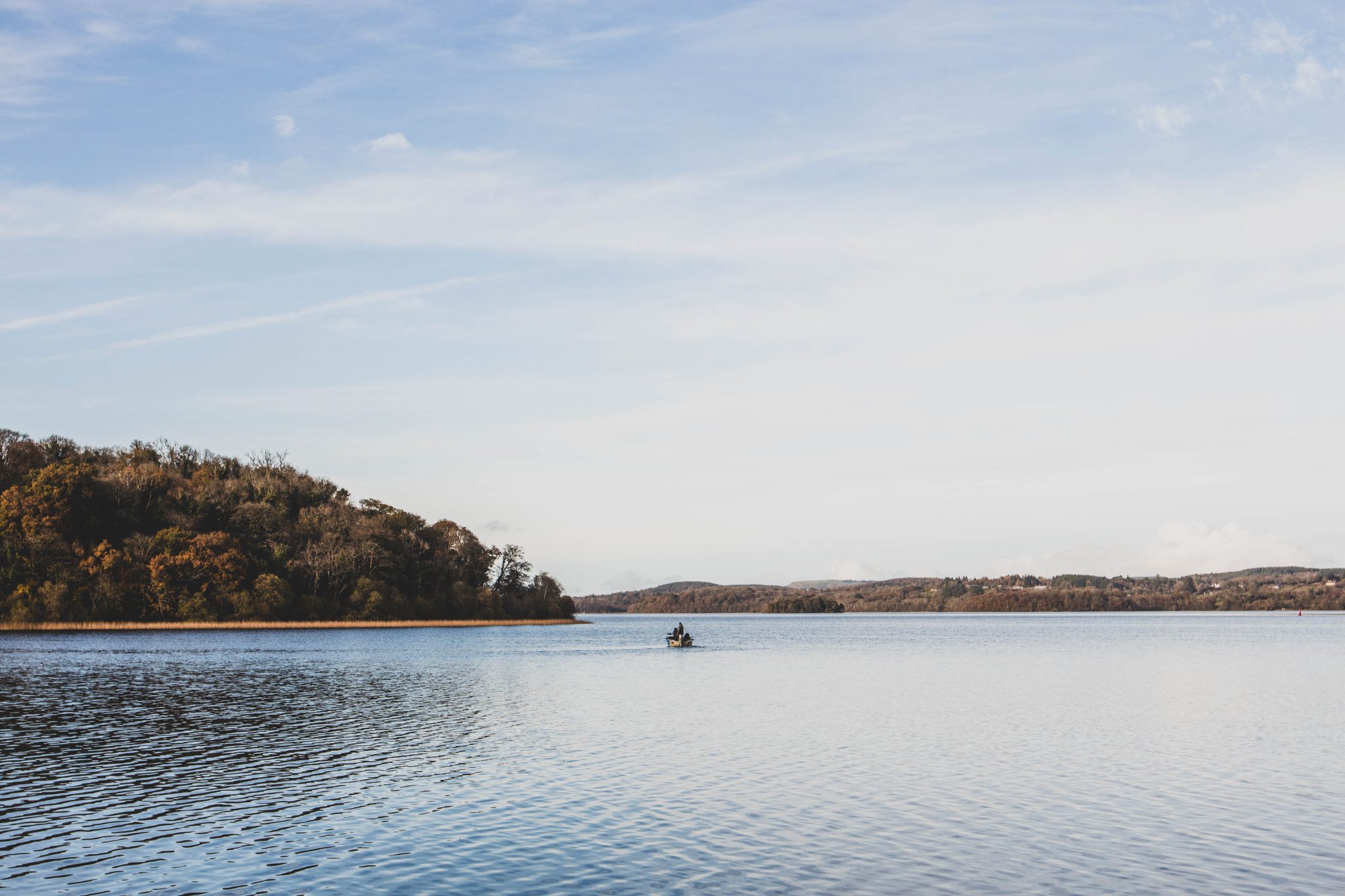 Roscommon : découvrir le Lough Key Forest Park - Vio Vadrouille