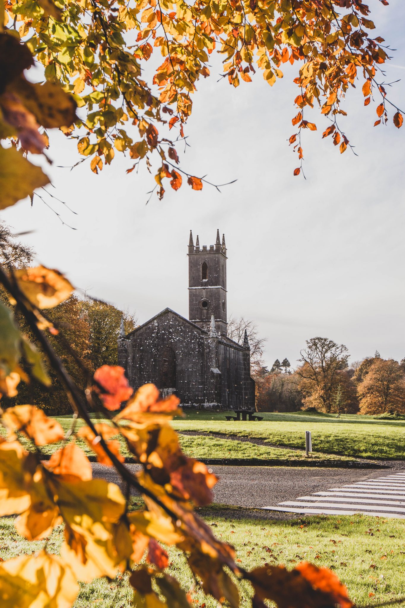Roscommon : découvrir le Lough Key Forest Park - Vio Vadrouille