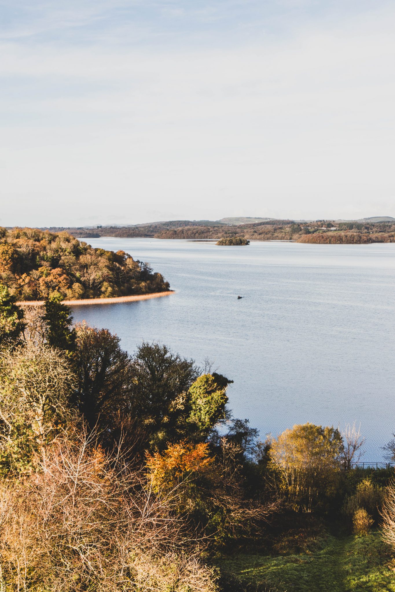 Roscommon : découvrir le Lough Key Forest Park - Vio Vadrouille